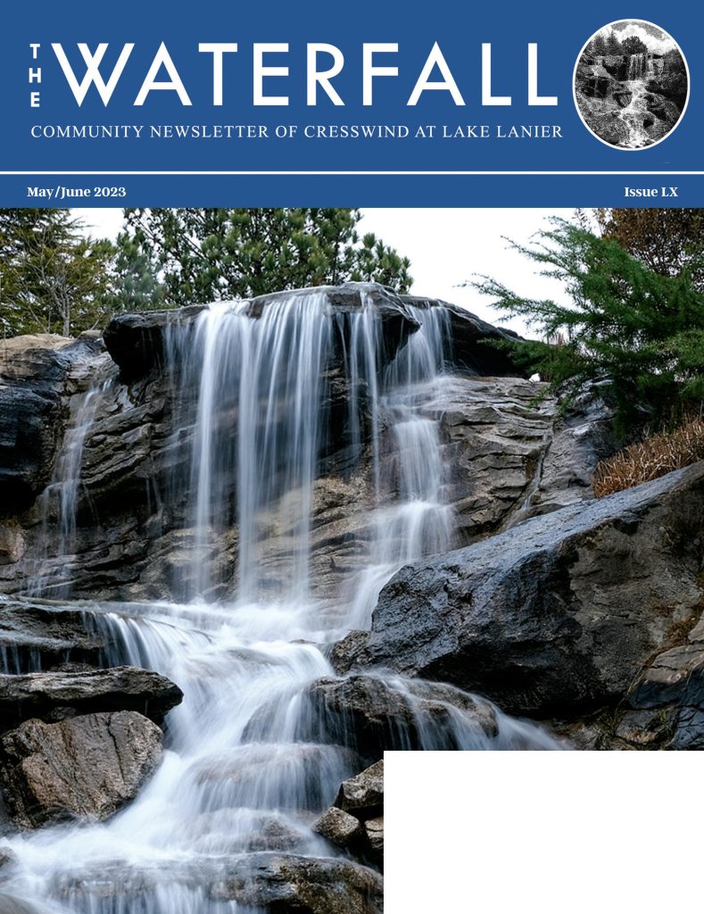 What is a Waterfall Pickleball Tournament: Unveiling the Ultimate ...